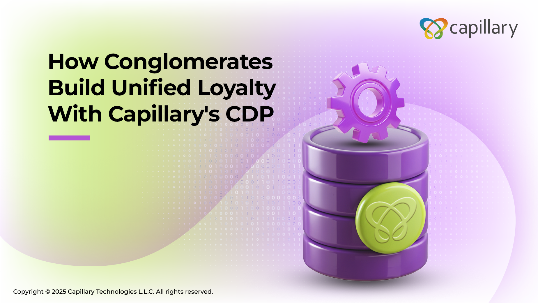How Capillary’s CDP Enables Conglomerate-Scale Loyalty - Capillary ...